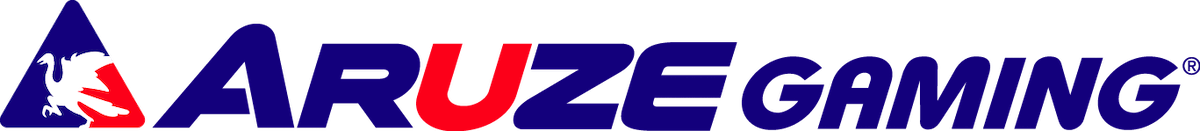 Aruze Gaming | Top US Casino Game Providers | 2025