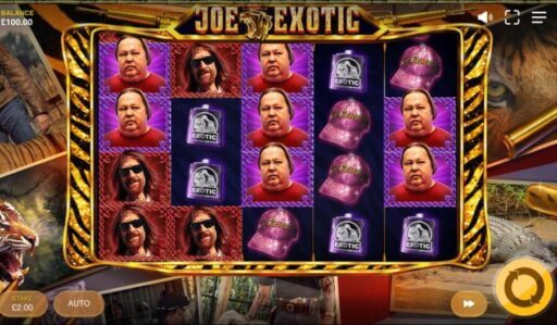 High Variance Slots | Top 10 High Volatility Slots | 2025